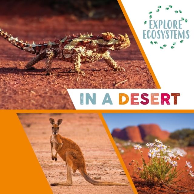 Desert Habitat Animals And Plants