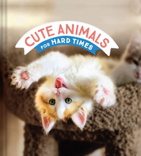 Cute Animals Helping Each Other