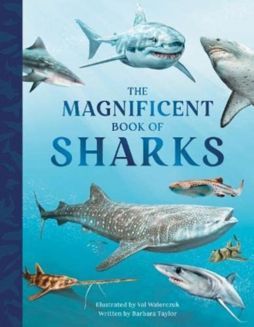 The Magnificent Book of Sharks by Barbara Taylor | Shakespeare & Company